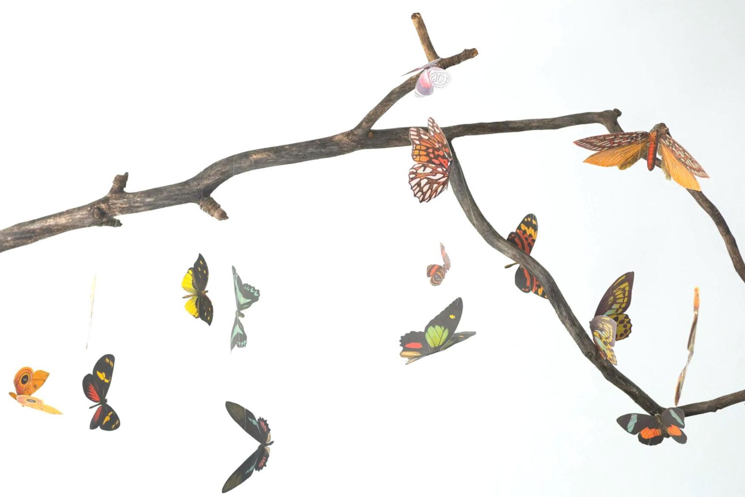 Bringing the Outdoors In | Montessori for Dementia Disability and Ageing