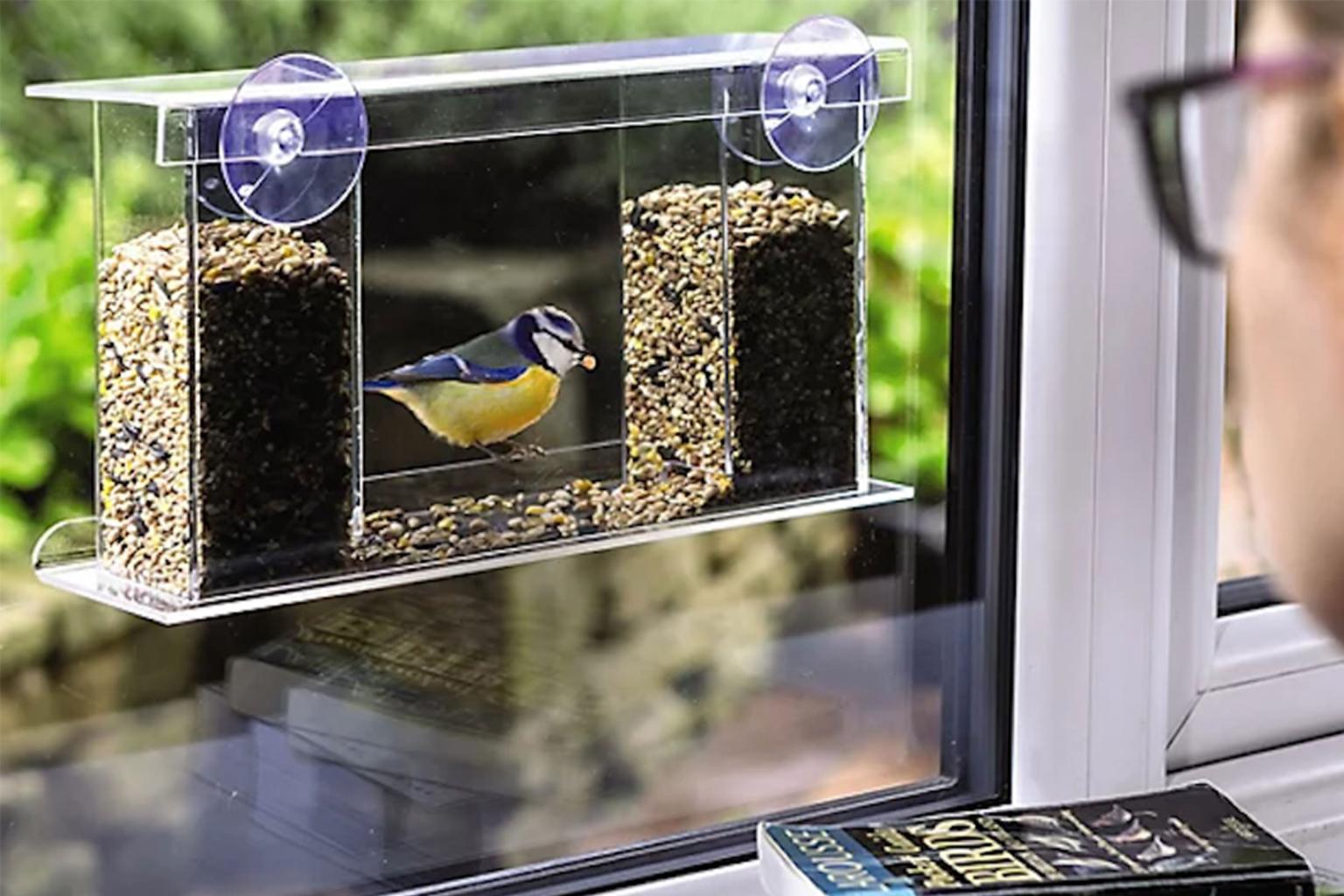Bringing the Outdoors In | Montessori for Dementia Disability and Ageing